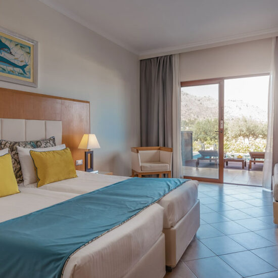 Superior Double Room with Private Pool Garden View | Lindos Imperial ...